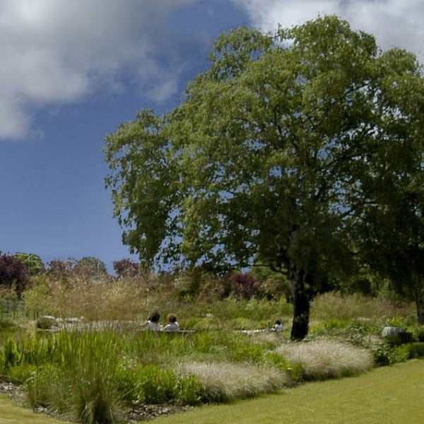 DLO Andover - Fira Landscape Architecture