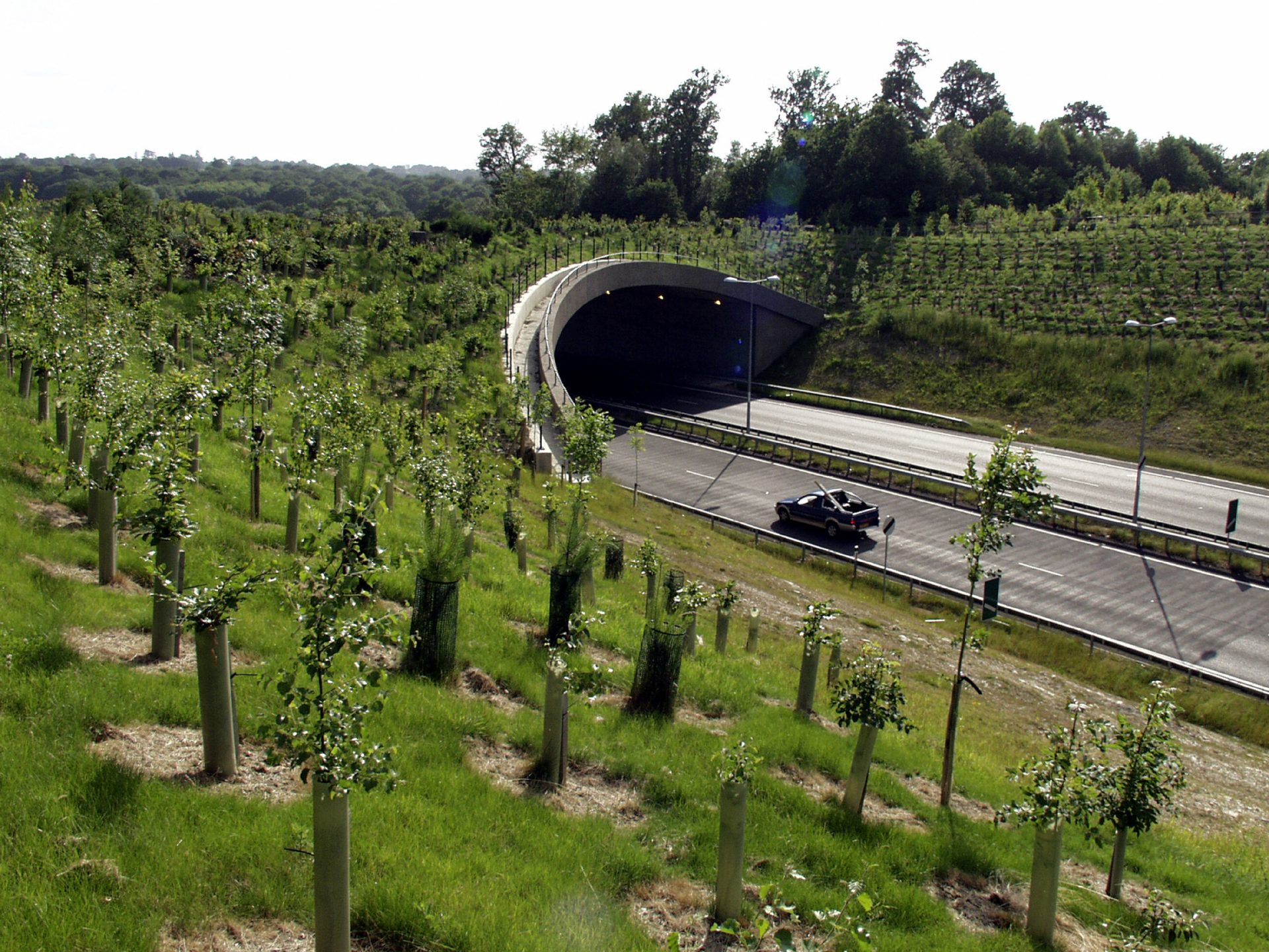 Scotney Castle Land Bridge - Fira Landscape Architecture